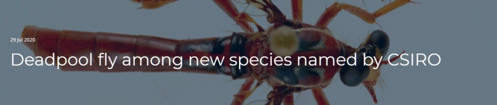 Deadpool fly among new species named by CSIRO - Learn to Read Comics